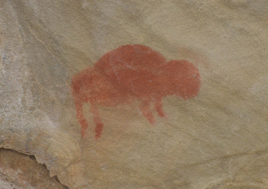 The Red Buffalo, Big Bend National Park – McCuration