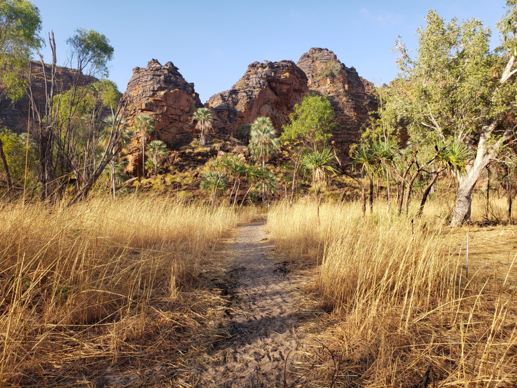 Kowtowed By The Kimberly (2019 Down Under, Part 3) – McCuration