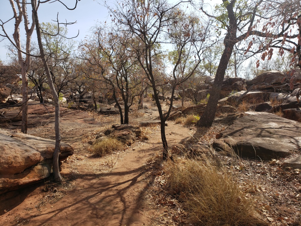 Kowtowed By The Kimberly (2019 Down Under, Part 3) – McCuration