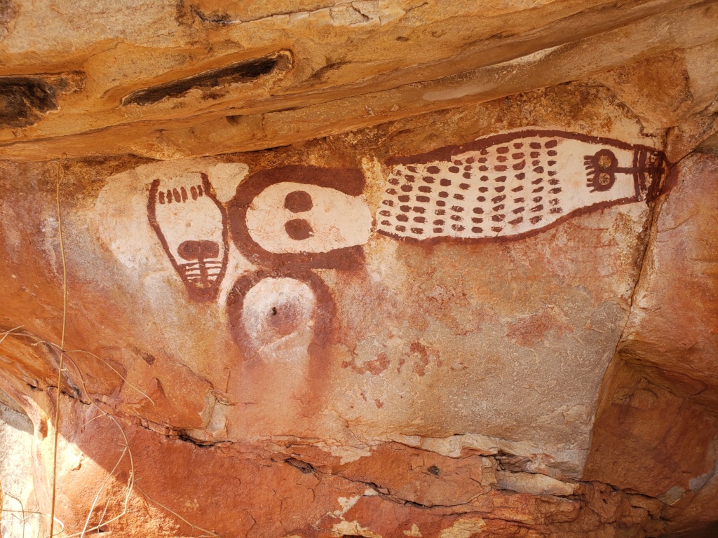 Kowtowed By The Kimberly (2019 Down Under, Part 3) – McCuration