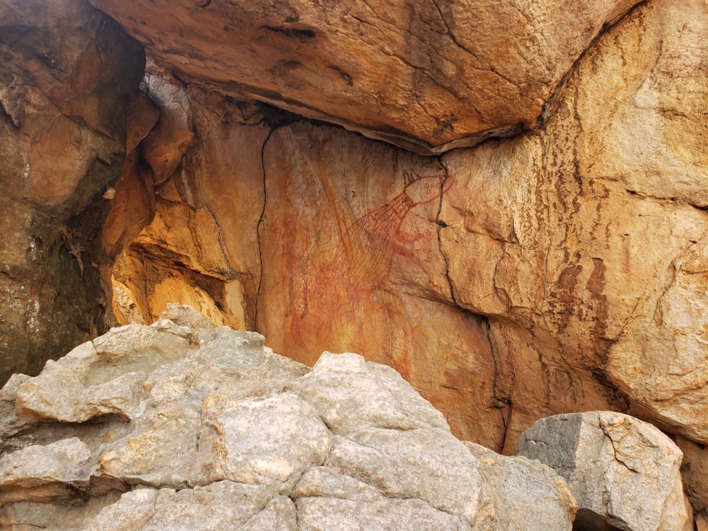 Kowtowed By The Kimberly (2019 Down Under, Part 3) – McCuration