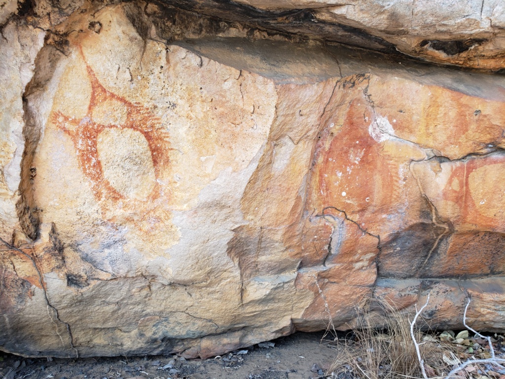 Kowtowed By The Kimberly (2019 Down Under, Part 3) – McCuration