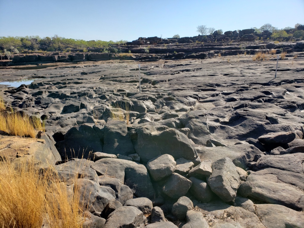 Kowtowed By The Kimberly (2019 Down Under, Part 3) – McCuration