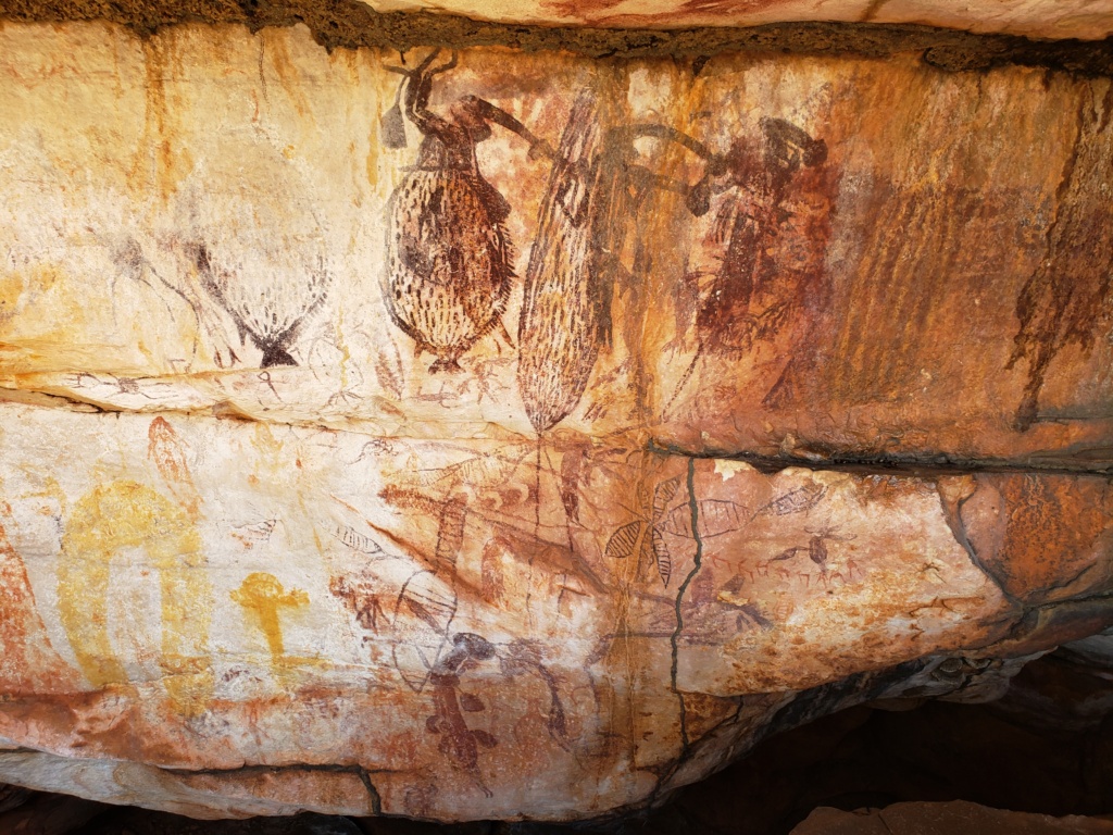 Kowtowed By The Kimberly (2019 Down Under, Part 3) – McCuration