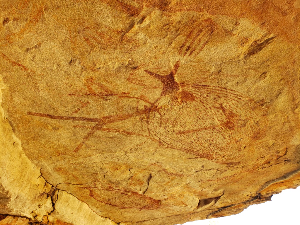 Kowtowed By The Kimberly (2019 Down Under, Part 3) – McCuration