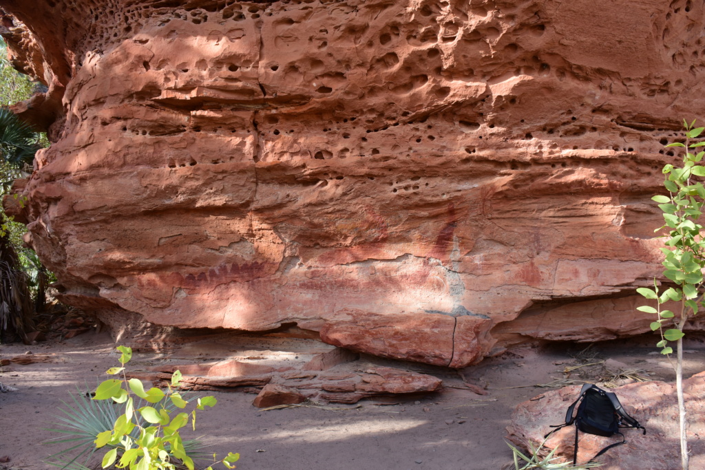 Kowtowed By The Kimberly (2019 Down Under, Part 3) – McCuration