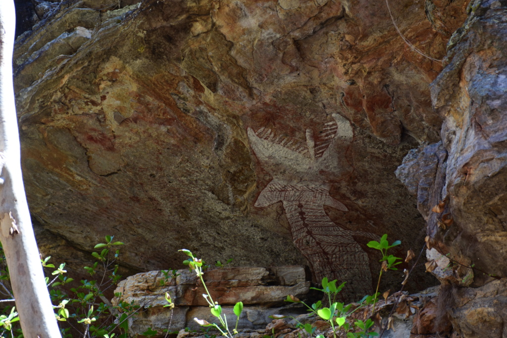 The Great Rainbow Serpent Gallery – McCuration