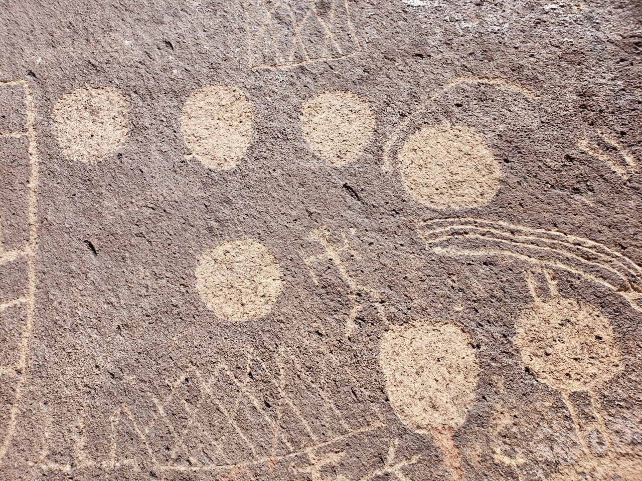 13 Moons Gallery – McCuration