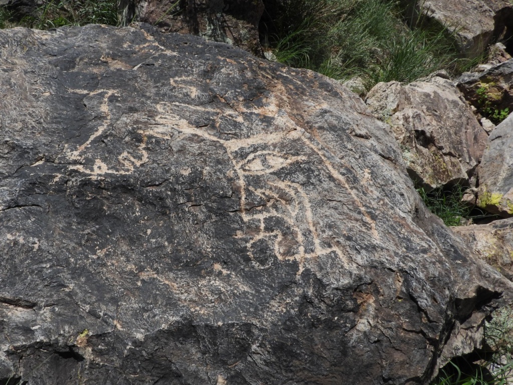 Adding Some Rock Art to a Birding Trip: NAN Ranch, Spirit Canyon, and ...