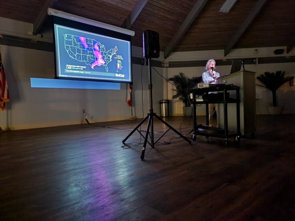 Three Days In Hummingbird Heaven – McCuration